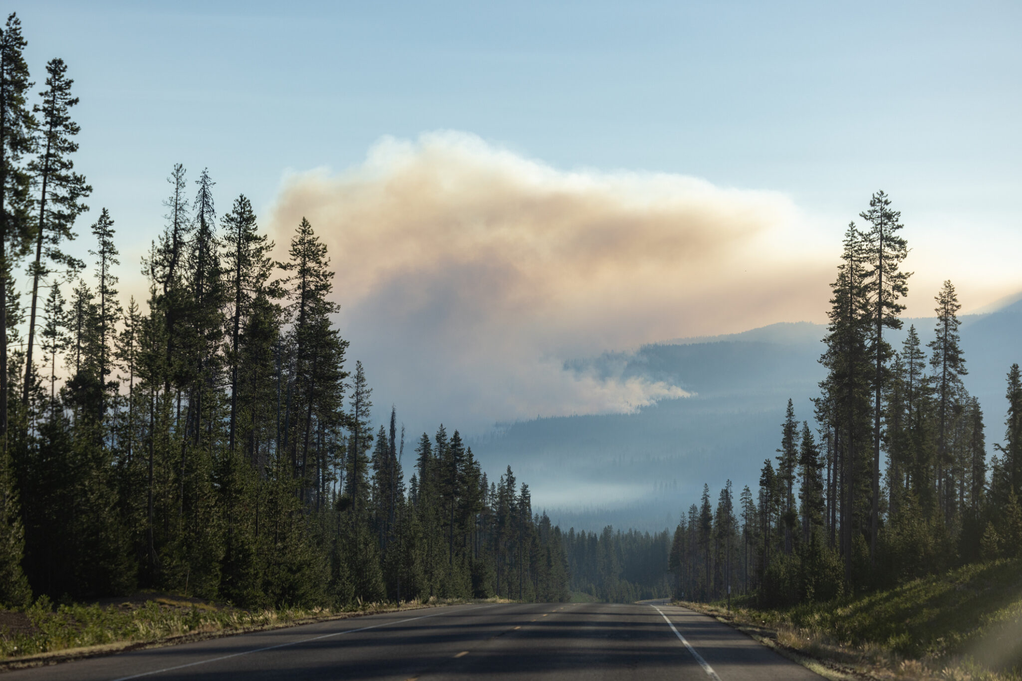 Protecting Your Lungs From Wildfire Smoke - eHealth Connection